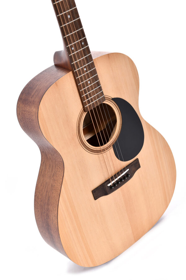 000-10 – Ditson Guitars